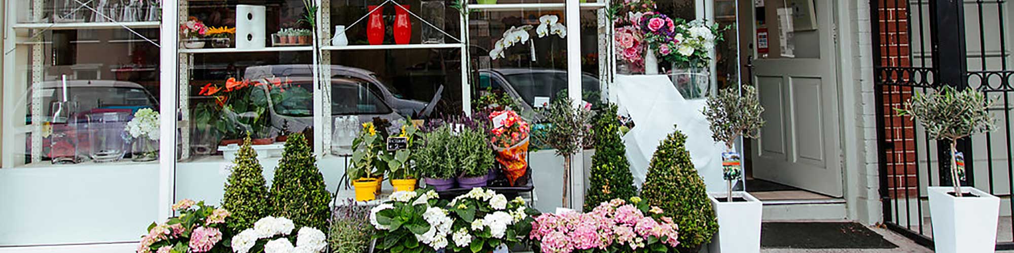 Dundrum Blooms - Order Online or 353 1 298 2988