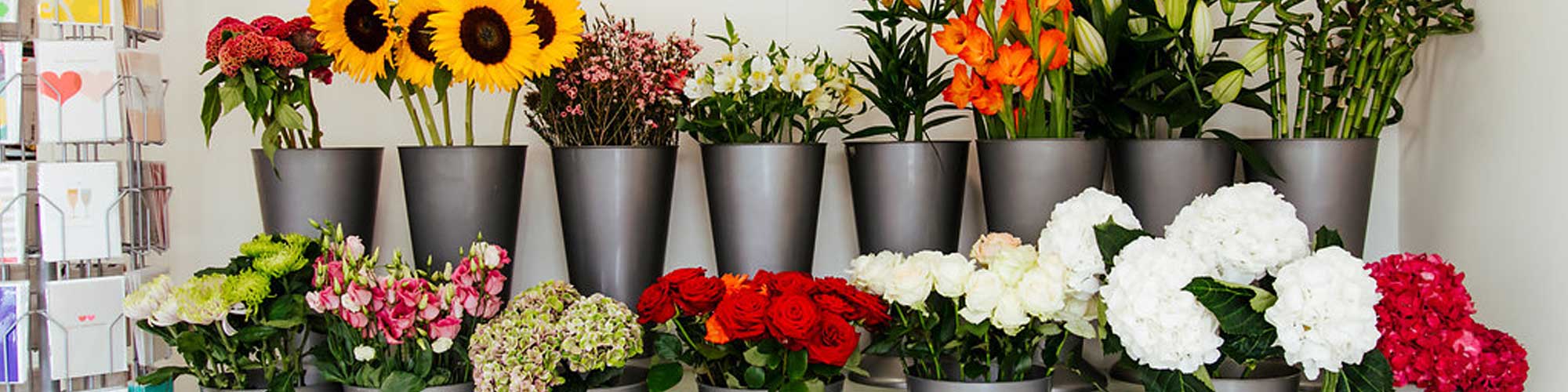 Dundrum Blooms - Order Online or 353 1 298 2988