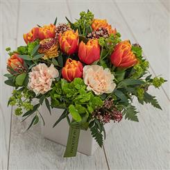 Spring flame